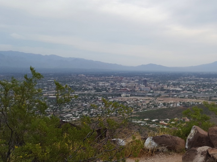 The View from Tumamoc – whitehorsepress