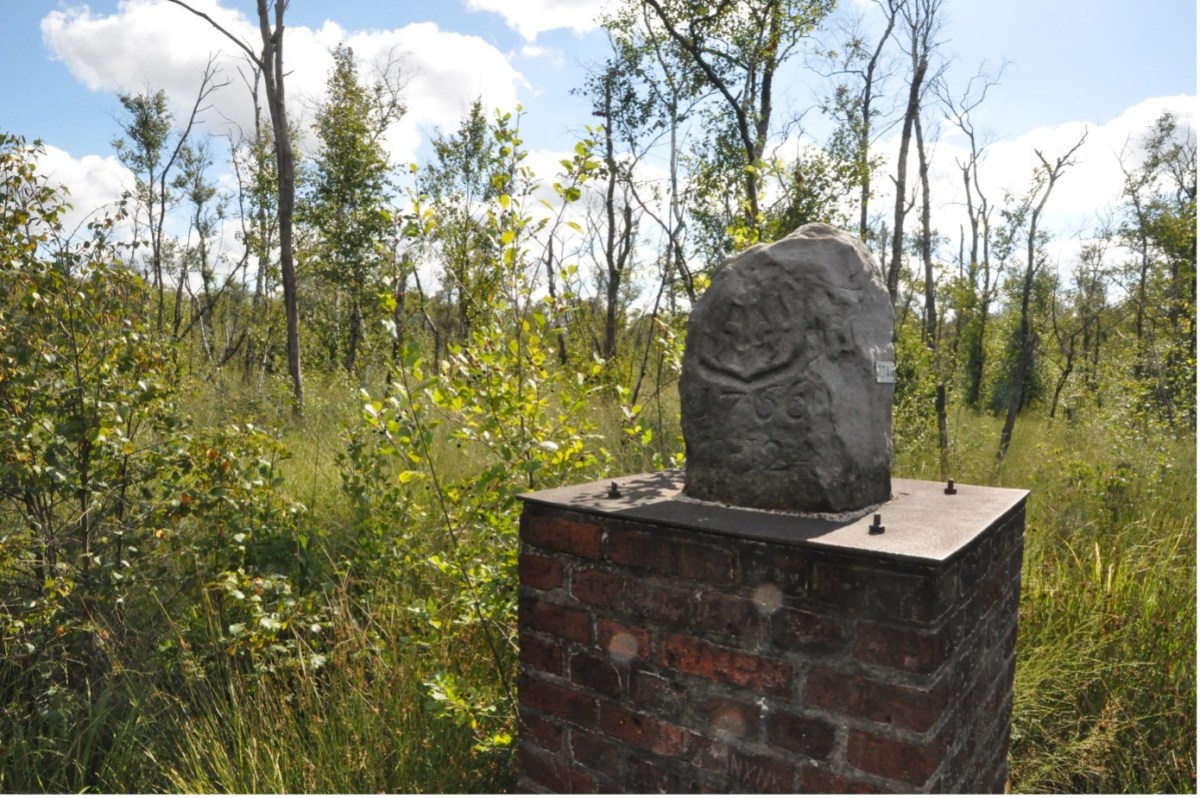 THE WORKINGS OF NATURE’S MATERIALITY AS SEEN THROUGH THE LENS OF ...