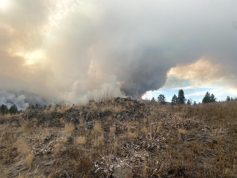 Wild Smoke: Forest Fires and Air Pollution in BC since 1950 ...