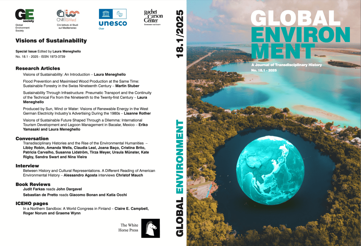Visions of Sustainability: Global Environment Special Issue ...